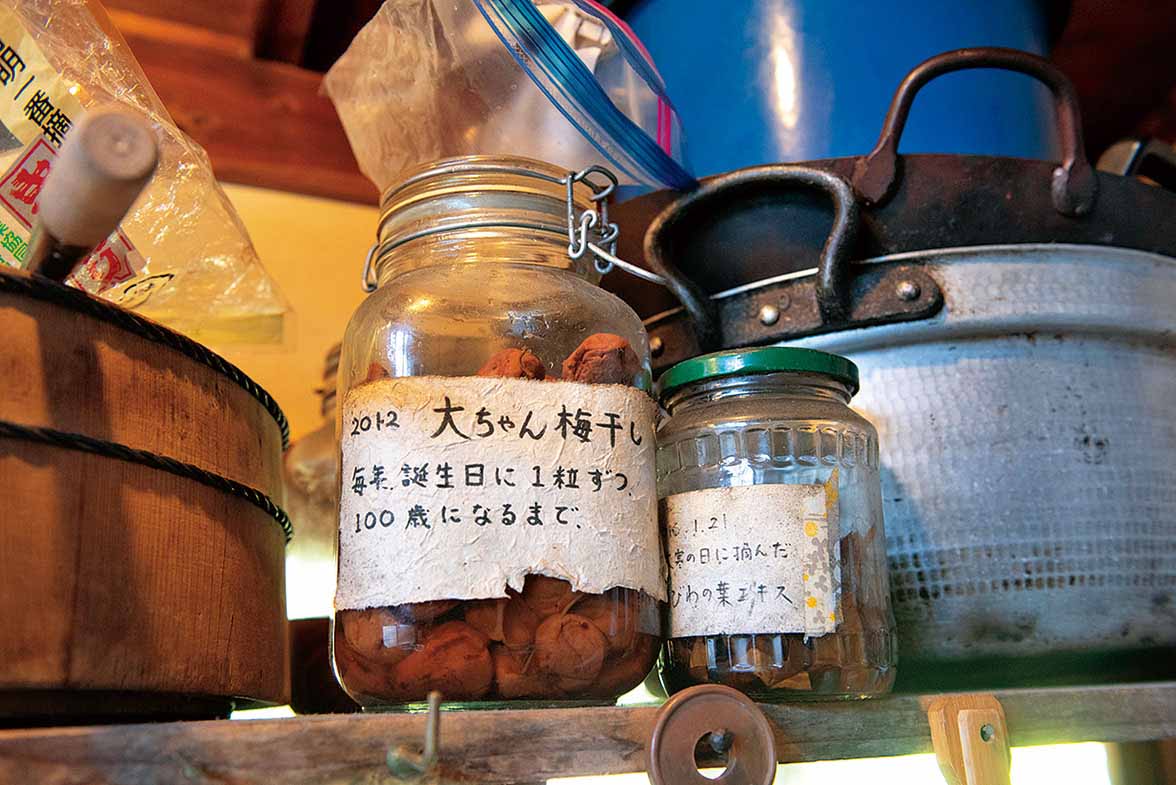 やっぱり発酵はすばらしい！ – 野草だより